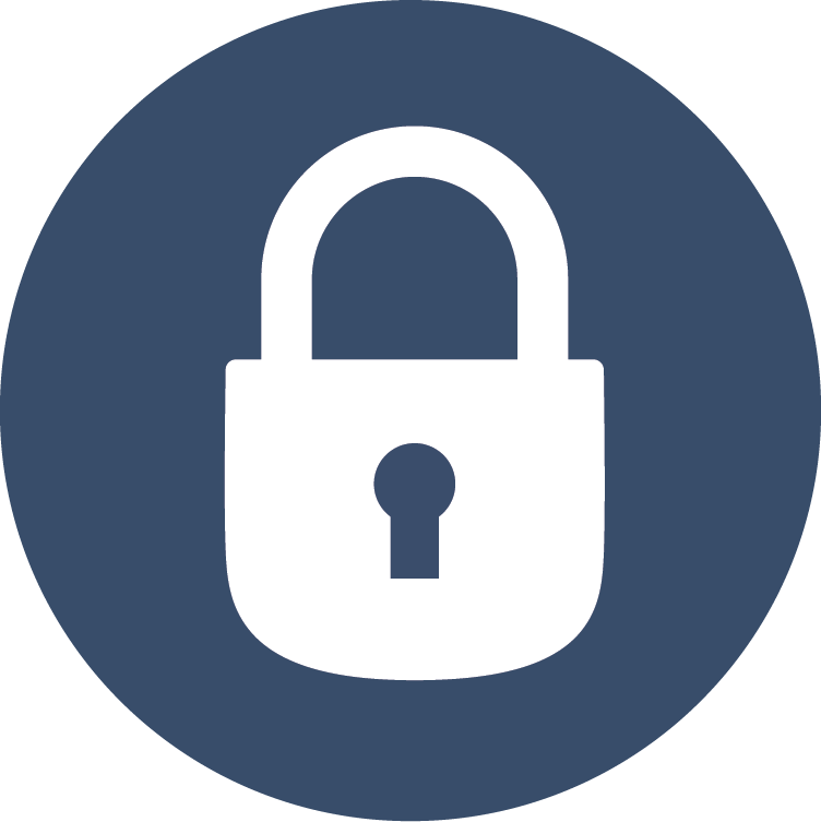 dsi-high-security-icon – Door Specialties Inc.